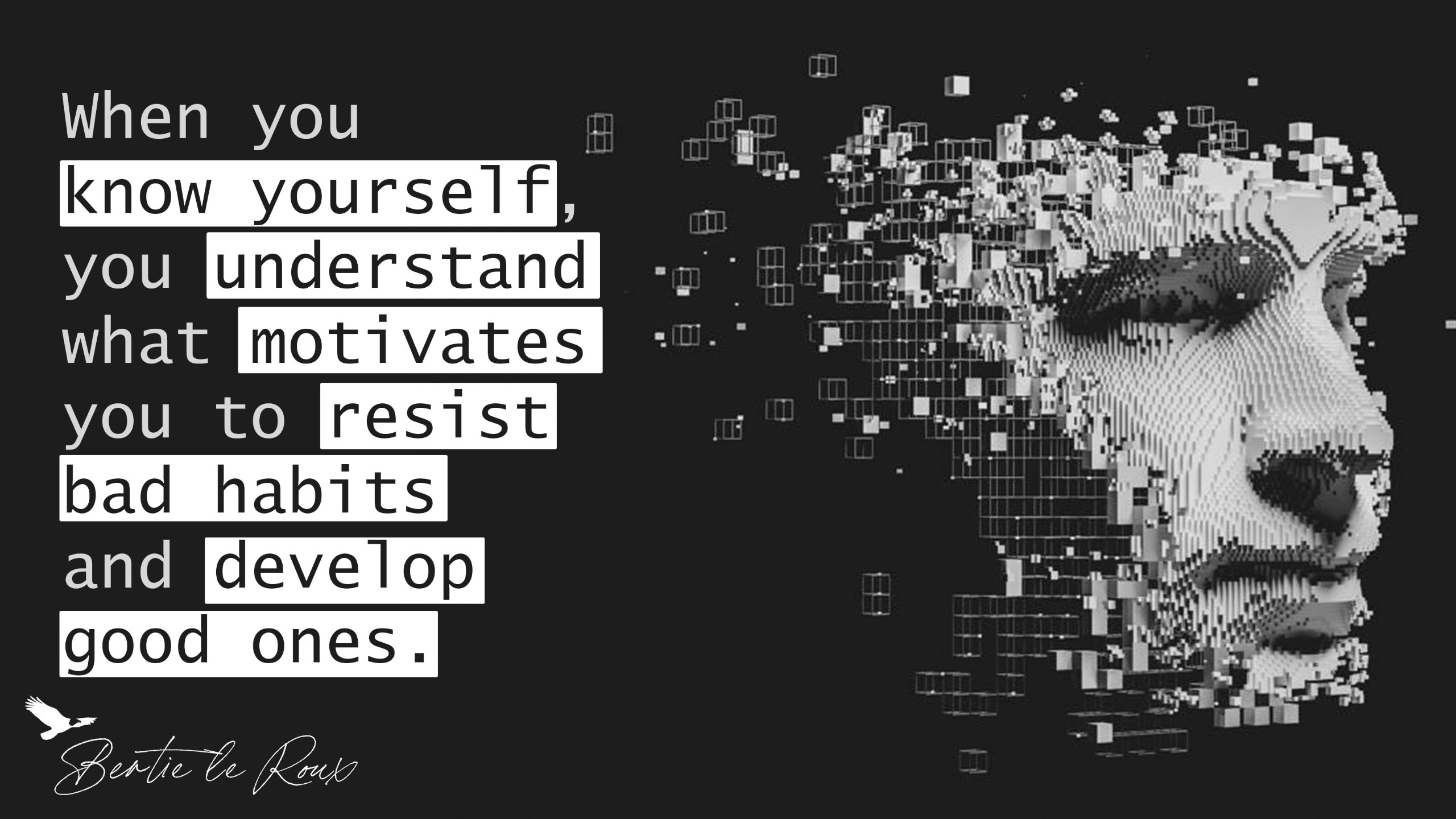 Brain Profiling. – Bertie Le Roux – Transformational Coach